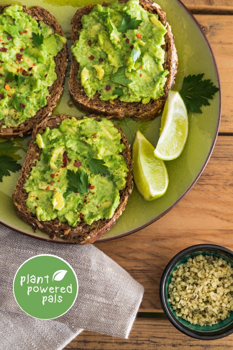 Avocado Toast: – Plant Powered Pals